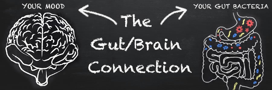 Mental Health and Happiness … and Gut-Friendly Microbes? – Pathway To Hope
